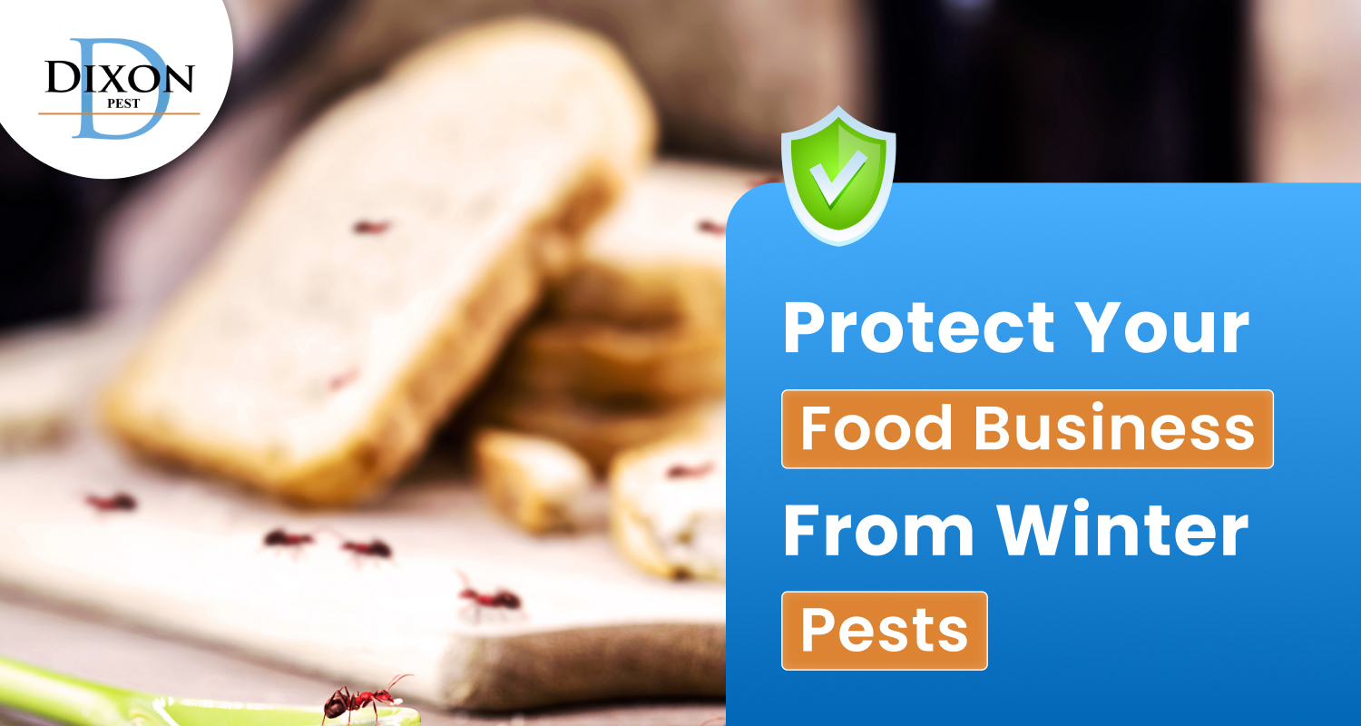 Protect Your Food Business with Winter Pest Control