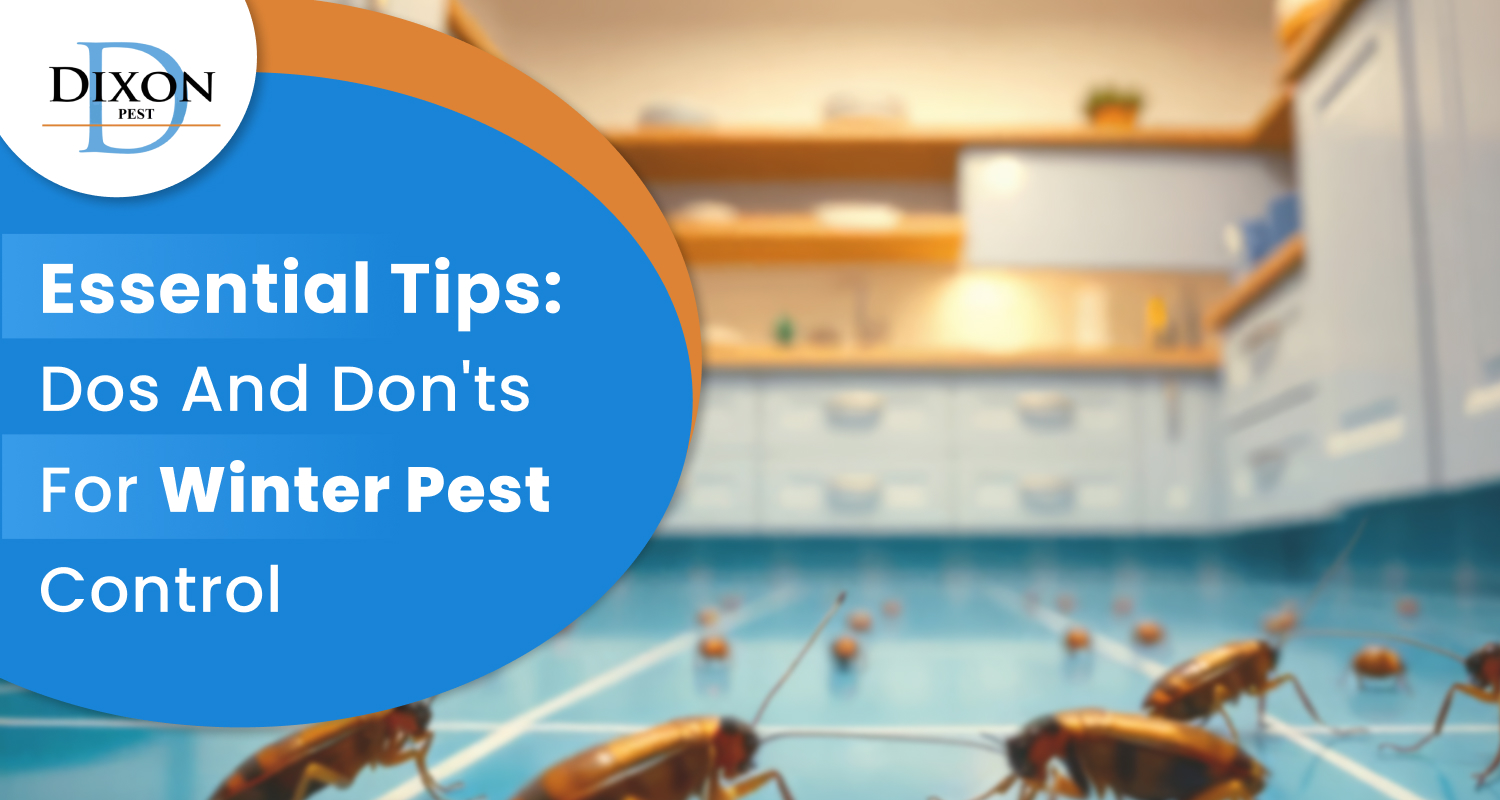 Winter Pest Control: Simple Do’s and Don’ts Tips