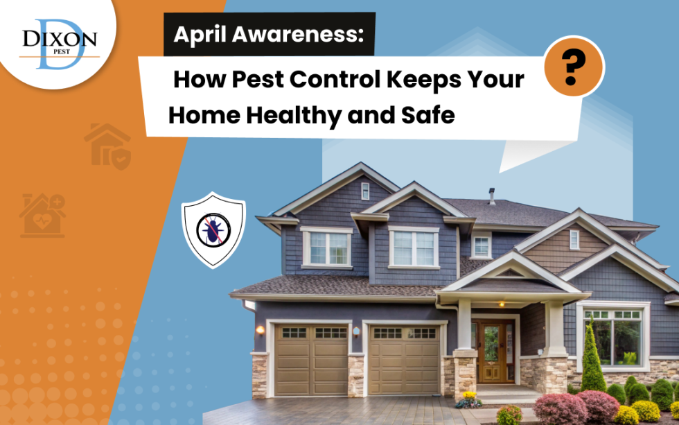 April Pest Awareness Month: Here’s How to Keep Your Home Safe