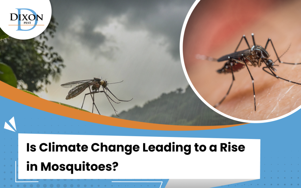 Climate Change Leading to a Rise in Mosquito